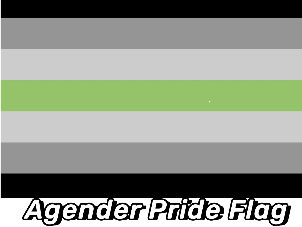 21 LGBTQ+ Pride Flags and Their Meanings - Triniful