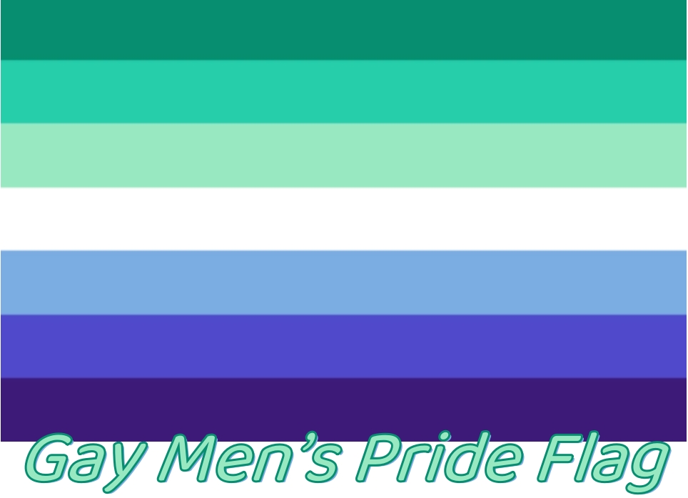 21 LGBTQ+ Pride Flags and Their Meanings - Triniful