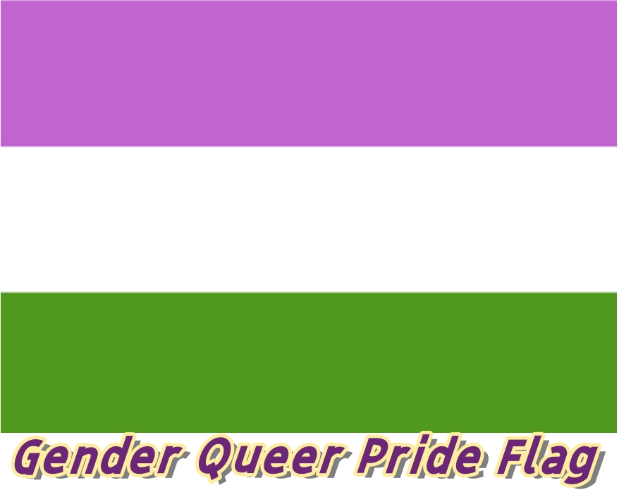 21 LGBTQ+ Pride Flags and Their Meanings - Triniful